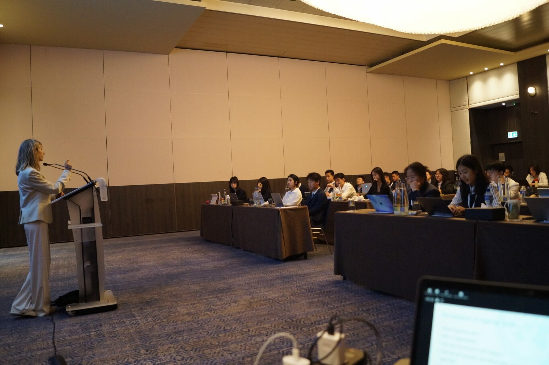 Youth Training Program at the UN: Summer 2023 • WFUNA