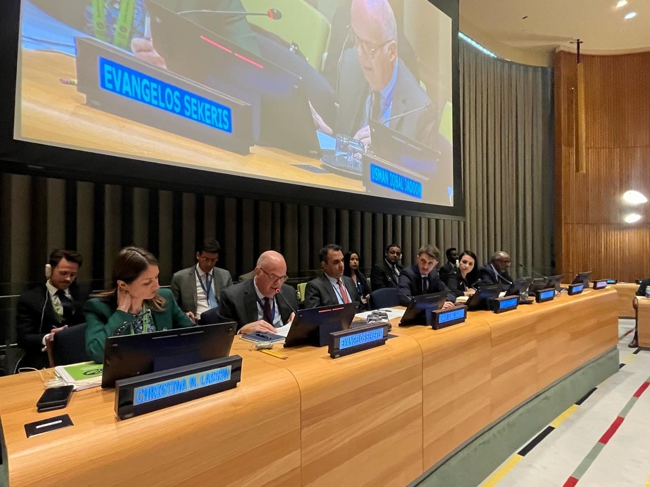 UN Security Council 2024 Election Briefing • WFUNA